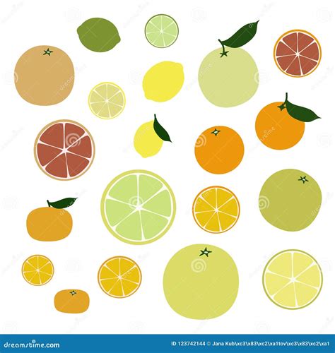 Citrus Fruit Set Stock Vector Illustration Of Fruit 123742144