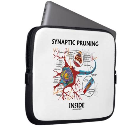 Synaptic Pruning Inside Neuron Synapse Neurology Laptop Sleeve Zazzle