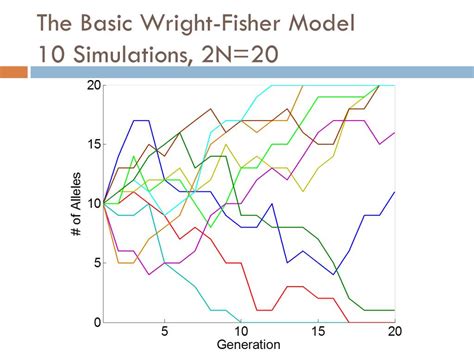 PPT Modeling Evolution The Wright Fisher Model PowerPoint
