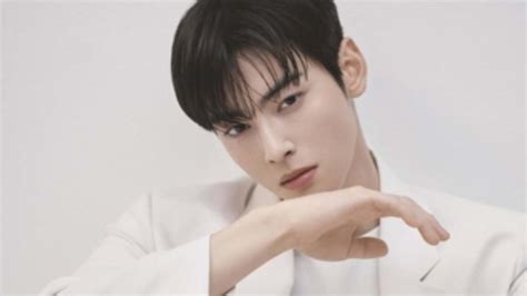 Cha Eun Woos Purported Younger Brother Gains Online Virality Otakukart