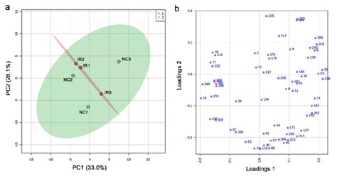 Pca Results From The Targeted Gc Ms Analysis A Score Plot 95 Download Scientific Diagram