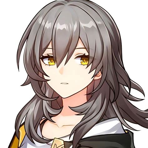 Stelle Stars Trailblazer Star Trails