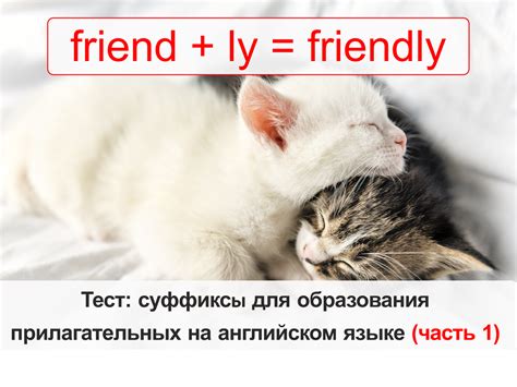 Тест суффиксы для образования прилагательных на английском языке
