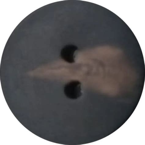 Plastic Round Garment Trouser Button At ₹ 20 Piece In Kolkata Id