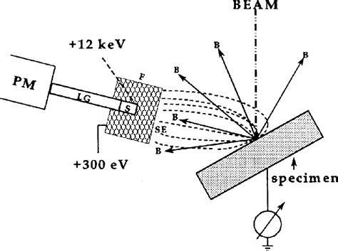 figure 2 13 from chapter two specimen interaction and information