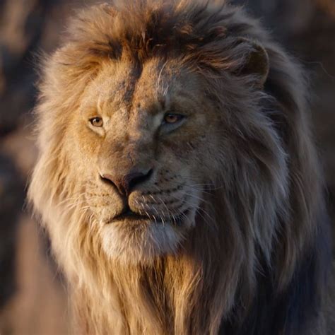 James Earl Jones Mufasa
