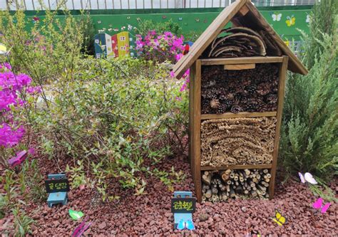 서울형 모아어린이집 정원도 공유…초록모아 키즈가든 조성 노컷뉴스