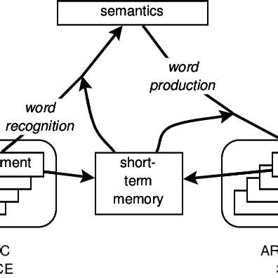 Overview Of Word Recognition And Production Download Scientific Diagram