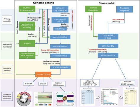 Workflow Of Commonly Used Bioinformatic Strategies And Tools For Download Scientific Diagram