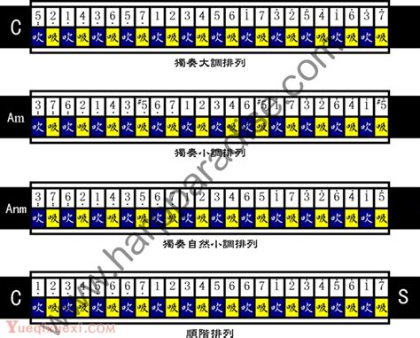 口琴音阶示意图 乐器学习网