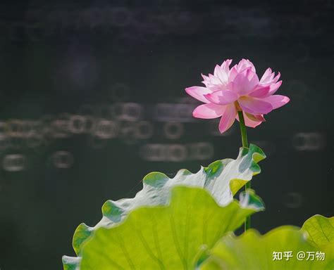 一篇文章告诉你：无人售货机成人用品店赚钱吗 知乎