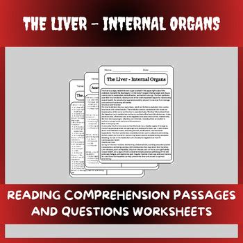 The Liver Internal Organs Reading Comprehension Passages Questions Worksheet