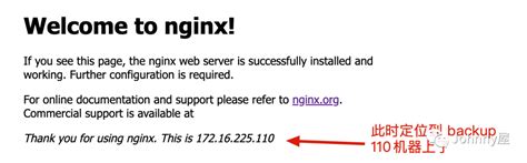 Keepalive Nginx 实现高可用 极客之音