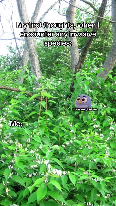 Invasive Species Memes Invasive Species Prevention Cartoons And Comics