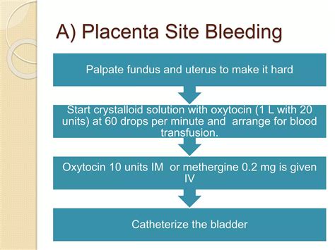Post Partum Haemorrhage Pptx