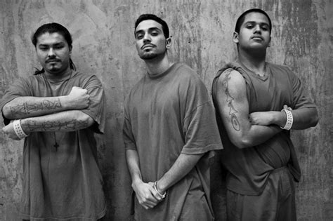 Mexican Mafia Tattoos Examples With Photos Photo Design Photo