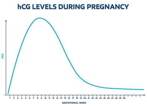 What Is HCG HCG Levels By Week Clearblue