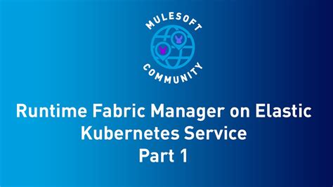 Runtime Fabric Manager On Elastic Kubernetes Service Architecture And