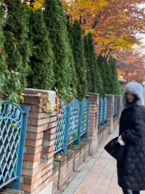 황신혜 올겨울 필수템은 퀼팅 재킷 나들이룩 추천 스타와 라이프