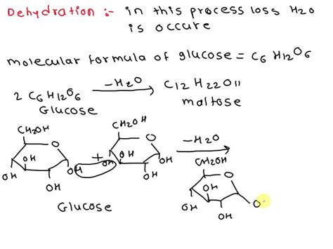 Solved Draw It Formation And Breakdown Of Disaccharide Lets Start By
