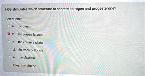 Hcg Stimulates Which Structure To Secrete Estrogen And Progesterone