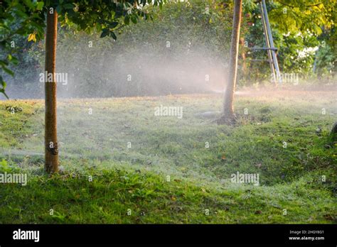 Drip Irrigation Farm Hi Res Stock Photography And Images Alamy