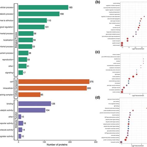 Gene Ontology Go And Enrichment Evaluation For Quantified