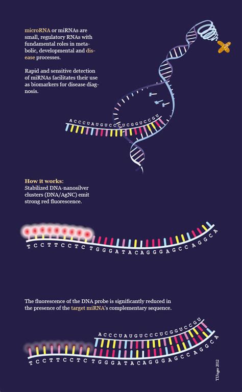 The Analytical Scientist Microrna Detection