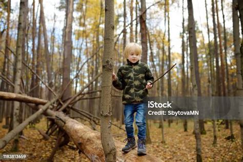 Anak Kecil Bermain Dengan Tongkat Di Hutan Pada Hari Musim Gugur Foto ...