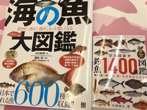 【オススメ】釣りが楽しくなる♪『海の魚大図鑑』 釣りのポイント