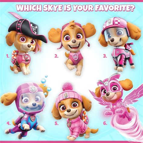 Paw Patrol Cartoon Paw Patrol Pups Chase Paw Patrol Paw Party Bear
