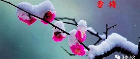 【作家诗文】春 雪木匠诗歌作品书号