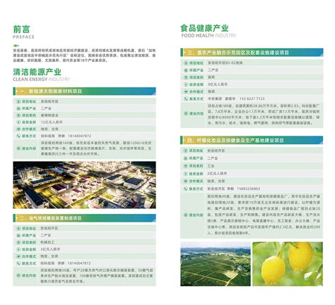 2023年招商引资推出项目