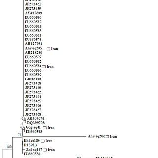 Tree Resulting From Multiple Sequence Alignments Of Amino Acids Of WMV