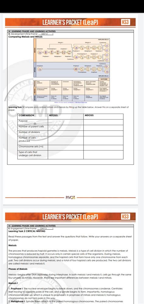 Solved Learning Task 1compare And Contrast Mitosis And Melosis By