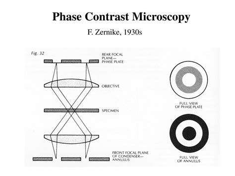 Ppt Contrast Microscopy Powerpoint Presentation Free Download Id