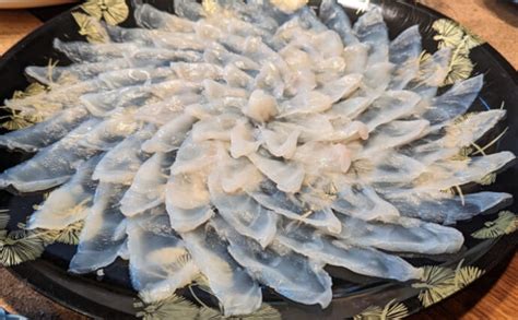 夏のふぐと呼ばれる魚たち 関東ではマゴチで関西ではハタ類が代表格 TSURINEWS