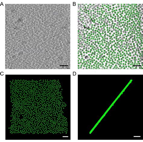 Cryo Electron Tomography Remote Data Collection And Subtomogram Averaging
