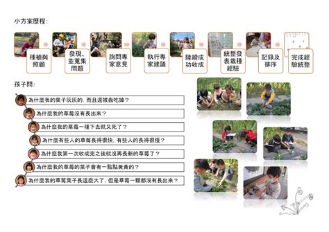 菜圃工作 臺南市善化區茄拔國小附設幼兒園
