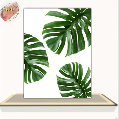 Jual HIASAN DINDING RUMAH WALLDECOR Daun Janda Bolong Kualitas Gambar