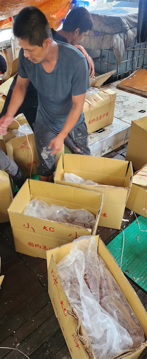 林慈得 林慈得 Added A New Photo — At 深奧漁港 林慈得 林慈得 Added A New Photo — At 深奧漁港