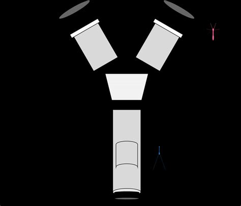 Depiction Of The Device Used In Olfactory Discrimination Trials A