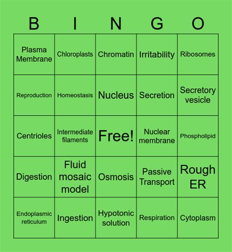 cell structure and function bingo card
