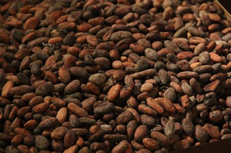 El Lado Oscuro Del Chocolate • Blog De Ecología Residuo Cero Moda