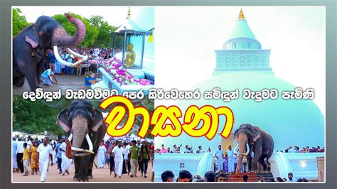 මෙවර පළමු වරට පෙරහැරට සහභාගී වීමට පෙර කිරිවෙහෙර සමිදු වදින්න ගිය වාසනා