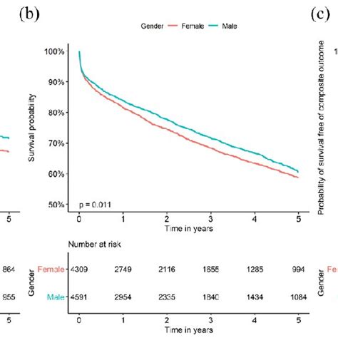 Pdf Sex Disparity In Long Term Stroke Recurrence And Mortality In A Rural Population In The