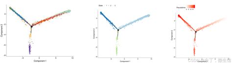 单细胞数据能解答哪些生物学问题？——进阶单细胞分析 单细胞表达某个基因的细胞与其他细胞相关性 Csdn博客