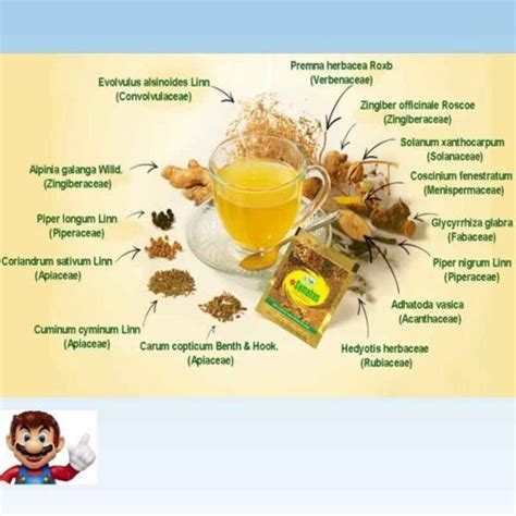 Herbal Samahan Tea Natural Cold Cough Ayurveda Drink Remedy Sachets
