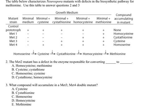 Solved The Table Below Characterizes Neurospora Mutants With