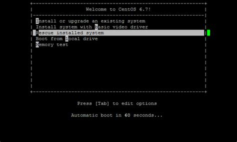 Activating The Service Console Using A Bootable Rescue Disk Netgate Documentation